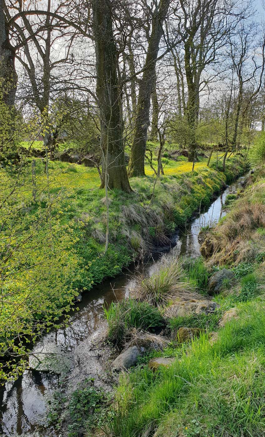 Retreat meditation Halland - Meditationsguiden
